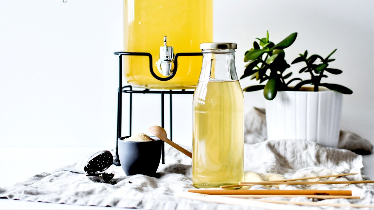 Faire son kombucha maison – Les Cookines